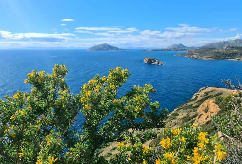 From Athens: Temple of Poseidon & Cape Sounion Half-Day Tour - A Thorough Look at the Experience