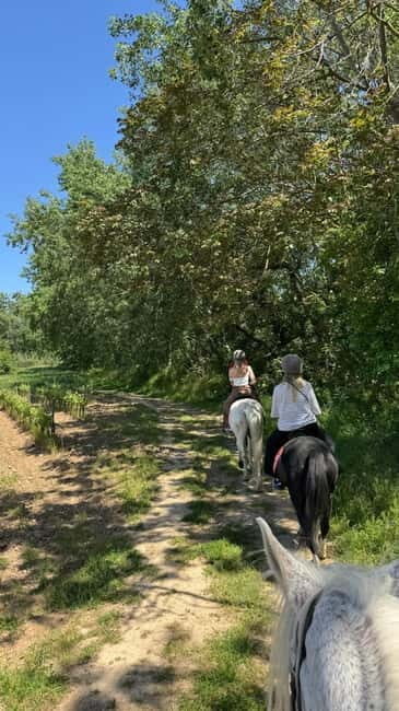 From Barcelona: PRIVATE Horseback Ride + Tapas + Picnic - Detailed Breakdown of the Itinerary