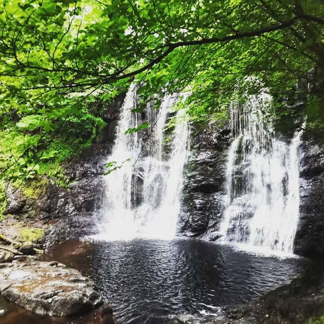 From Belfast: Private Tour of the Glens & Giants Causeway
