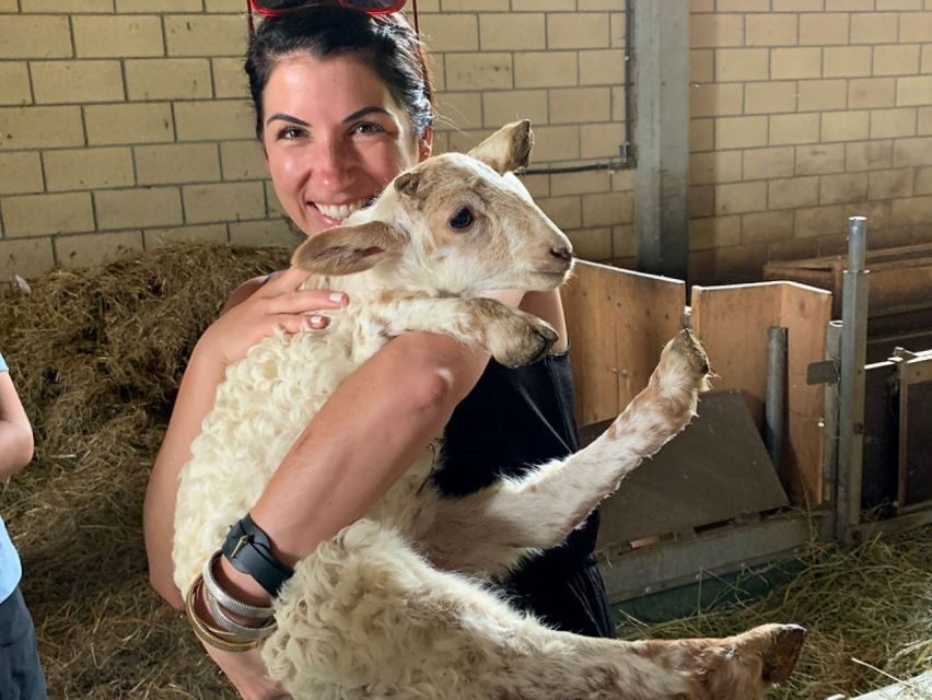 From Bilbao: San Sebastian and Basque Cheese Farm Tour - What Travelers Are Saying