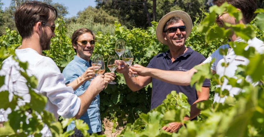 From Bordeaux: Saint-Emilion Day Trip with Lunch and Wine
