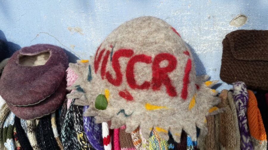 From Brasov: Sighisoara and Viscri UNESCO Day Tour - Frequently Asked Questions