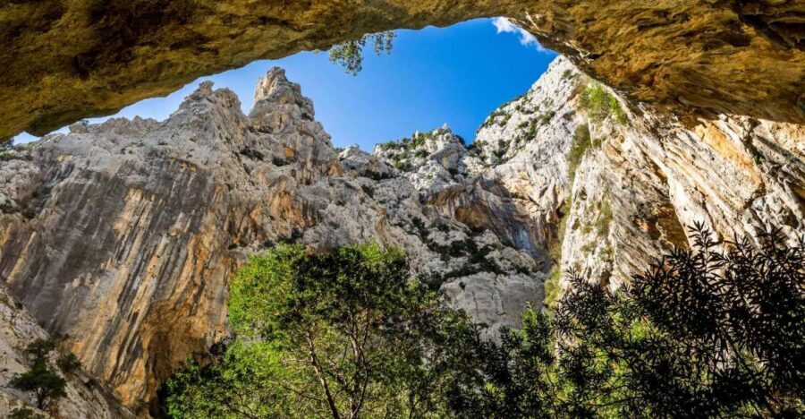 From Cala Gonone: Gorropu hiking with lunch