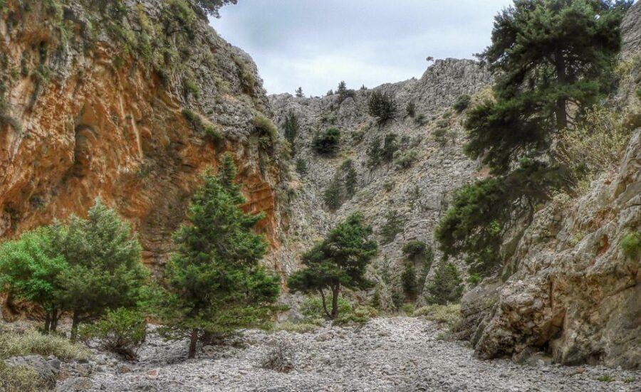 From Chania/Almyrida : Imbros Gorge Hike