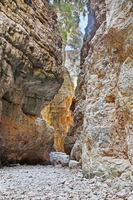 From Chania: Imbros Gorge and Sfakia Experience Hike & Swim