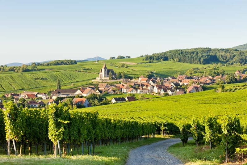 From Colmar: Alsace Villages Tour and Wine Tasting