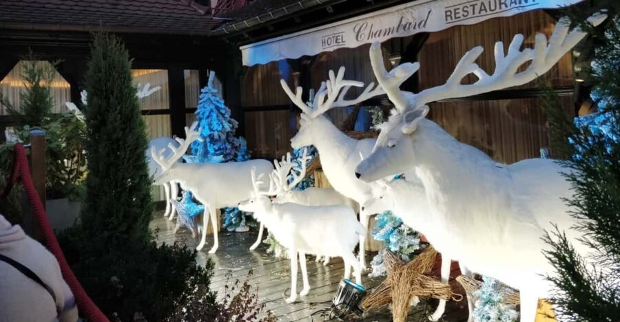 From Colmar: Christmas Markets Across 3 Borders