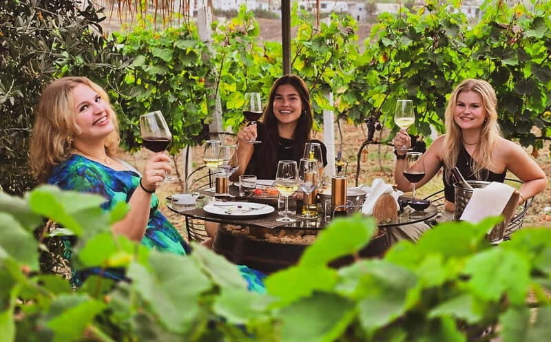 From Durres: Countryside Vineyards Wine & Food Tasting Tour