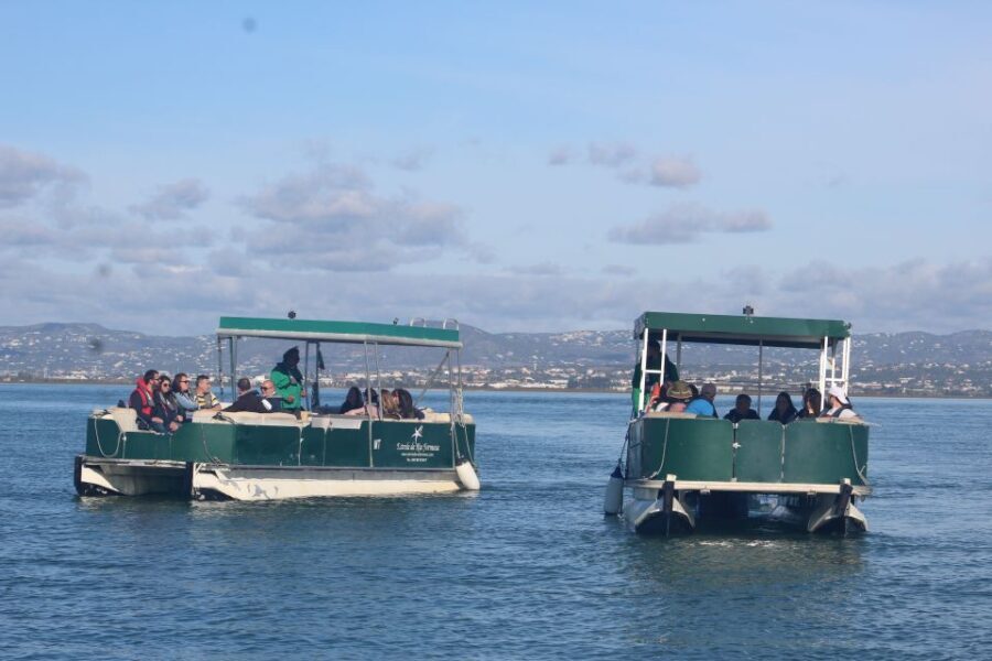 From Faro: 4 Stops, 3 Islands in Ria Formosa Catamaran Tour - Value and Practical Considerations