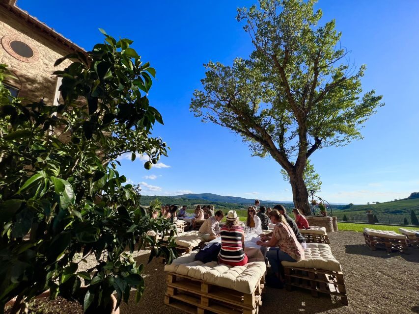 From Florence: Chianti Half-Day Afternoon Tour - Final Thoughts: Who Will Love This Tour?