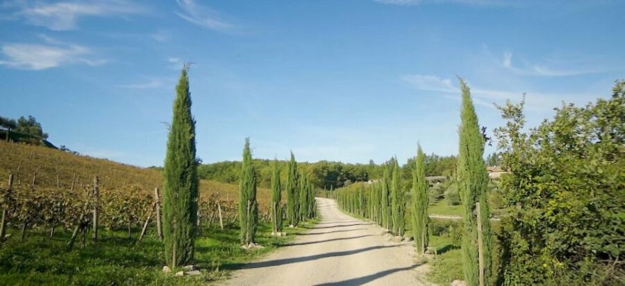 From Florence: Private Half-Day Chianti Tour & Wine Tasting - Who Will Love This Tour?