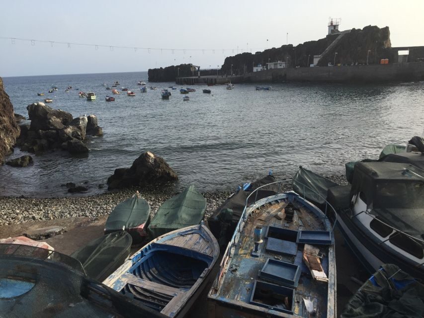 From Funchal: West Madeira and Laurel Forest Day Trip - The Quality of the Guide and Transportation