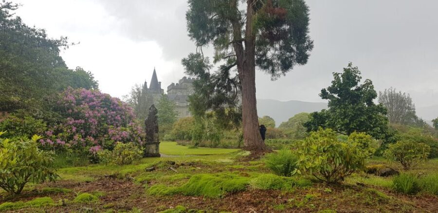 From Glasgow: Scotland Sightseeing Tour Shore Excursion - Detailed Breakdown of the Tour Experience