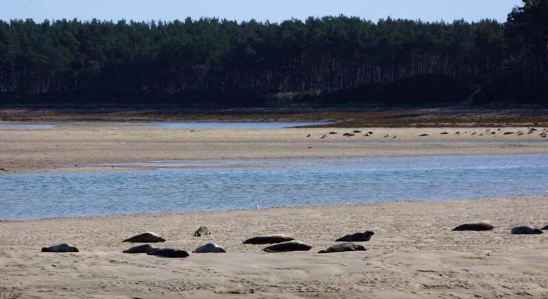 From Invergordon: Private Northern Highlands Shore Excursion
