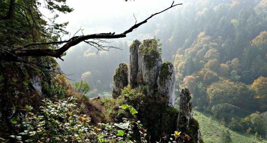 From Krakow: Ojców National Park Tour