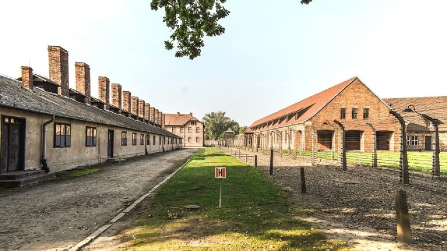 From Krakow: Wieliczka Salt Mine & Auschwitz Guided Trip