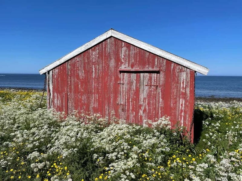 From Leknes: Lofoten Sightseeing Tour