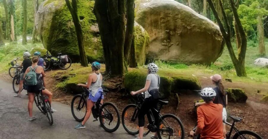 From Lisbon: Sintra and Cascais E-Bike Tour