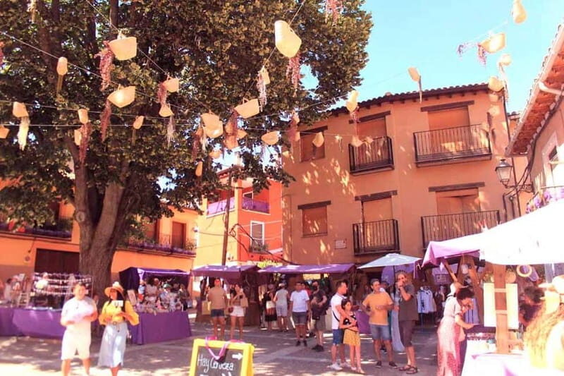 From Madrid: Brihuega Lavender Fields Guided Tour - Who Will Love This Tour?