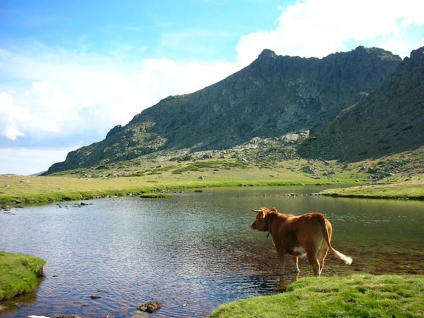 From Madrid: Day Trip to Guadarrama National Park