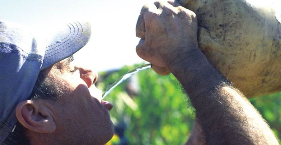 From Marbella: Axarquia Wine Tour with Wine Pairing Lunch
