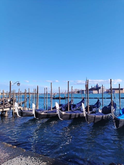 From Milan: Venice City Highlights Guided Day Trip