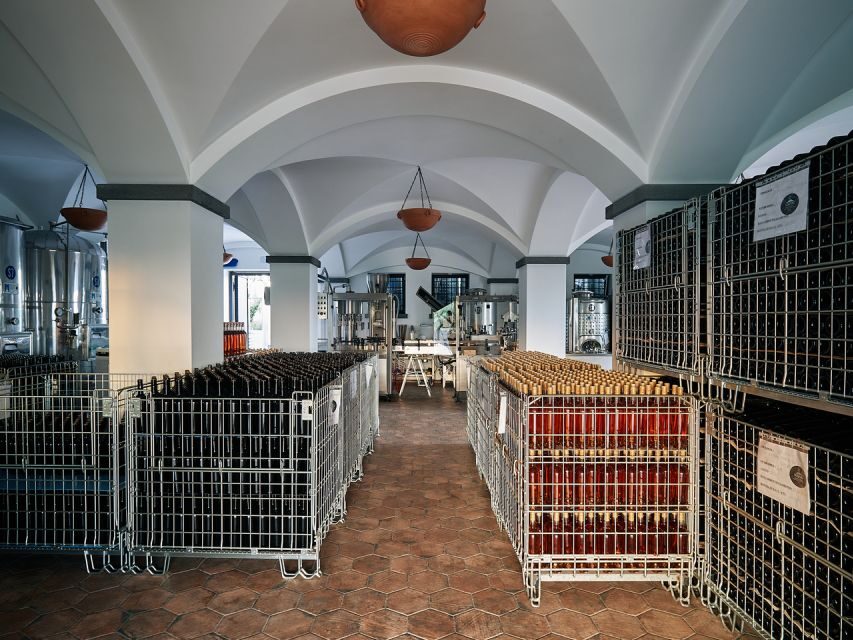 From Naples: Wine Tasting Tour on Vesuvius Slopes with Lunch