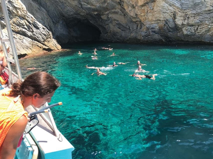 From Palma: Afternoon Dolphin-Watching Boat Tour