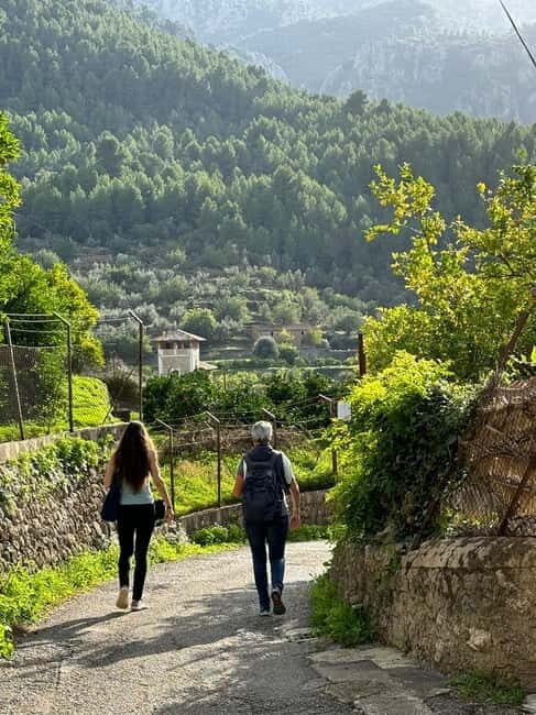 From Palma: Sierra de Tramuntana Hiking with small Picnic