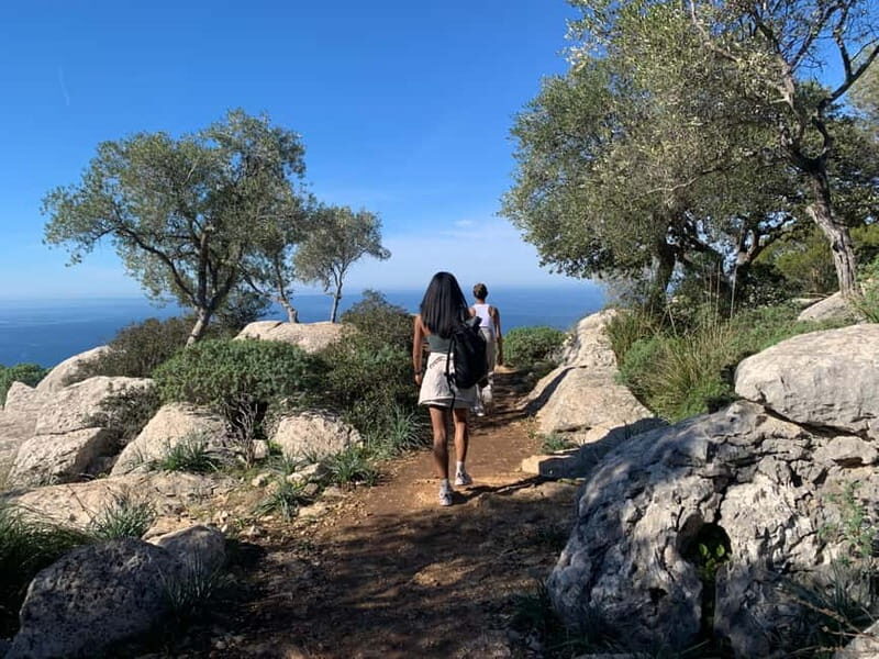 From Palma: Valldemossa Tour and Mountain Viewpoint Hike