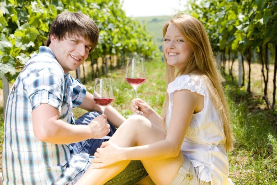 From Pisa or Lucca: Half-Day Tuscany Chianti Wine Tasting
