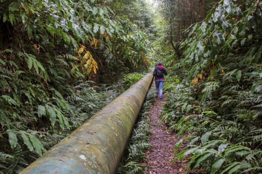 From Ponta Delgada: Guided Walking Tour to Salto do Cabrito