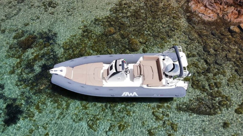 From Porto Rotondo: dinghy snorkeling tour with dolphin sighting