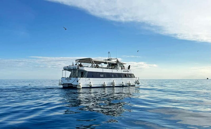 From Pula: Half-day NP Brijuni cruise with Lunch & Swimming