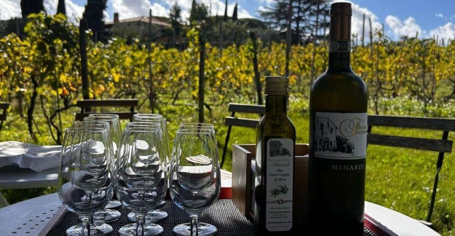 From Rome: Half-Day Frascati Wine Tour with Farmhouse Lunch