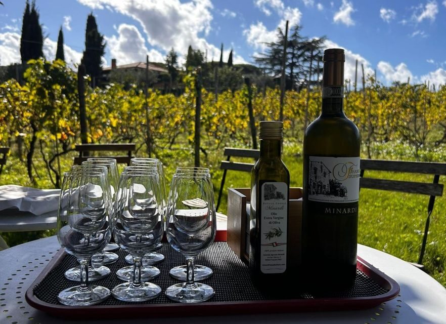 From Rome: Pasta Masterclass & Wine Tour in the Vineyard