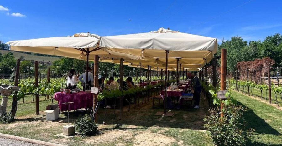 From Rome: Siena and S. Gimignano, Tuscany Wine One Day Tour - An In-Depth Look at the Experience