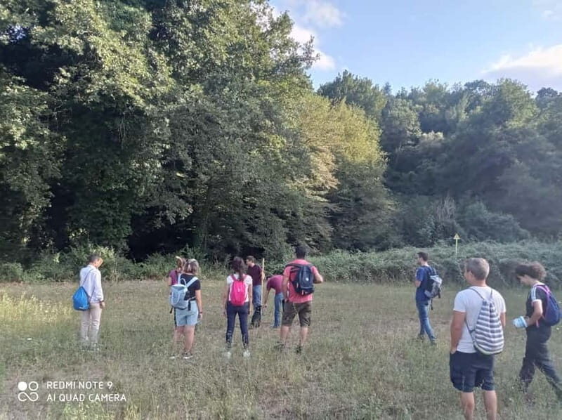 From Rome: Trekking to Cesano's Woods with Lunch