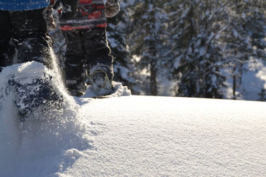 From Ruka: Snowshoeing in Oulanka National Park