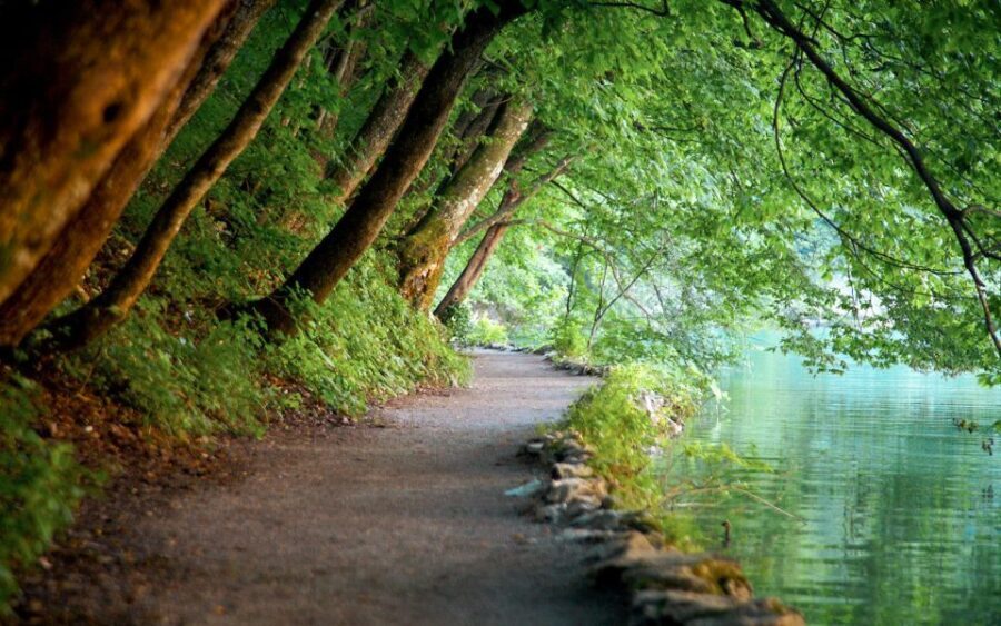 From Split or Trogir: Plitvice Lakes Guided Full-Day Tour - What the Price Includes and What to Keep in Mind