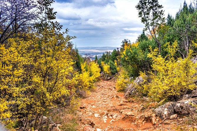 From Split/Trogir: Mostar and Medjugorje Tour with Wine Tasting - Key Points