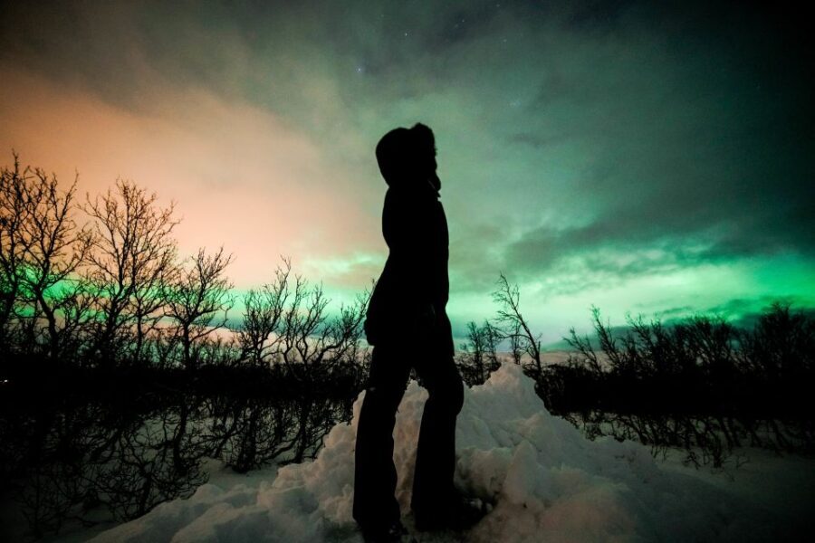 From Tromsø: Aurora Borealis Tour