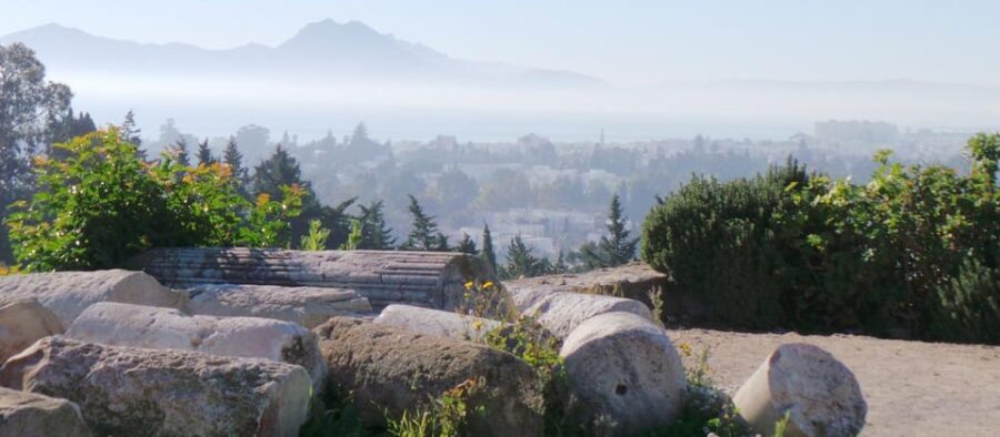 From Tunis/Sousse: Medina Bardo Carthage, Sidi Boussaid Tour - The Practical Side: Transportation, Groups, and Cost