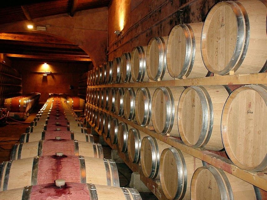 From Venice: day trip to Amarone and Prosecco wine regions