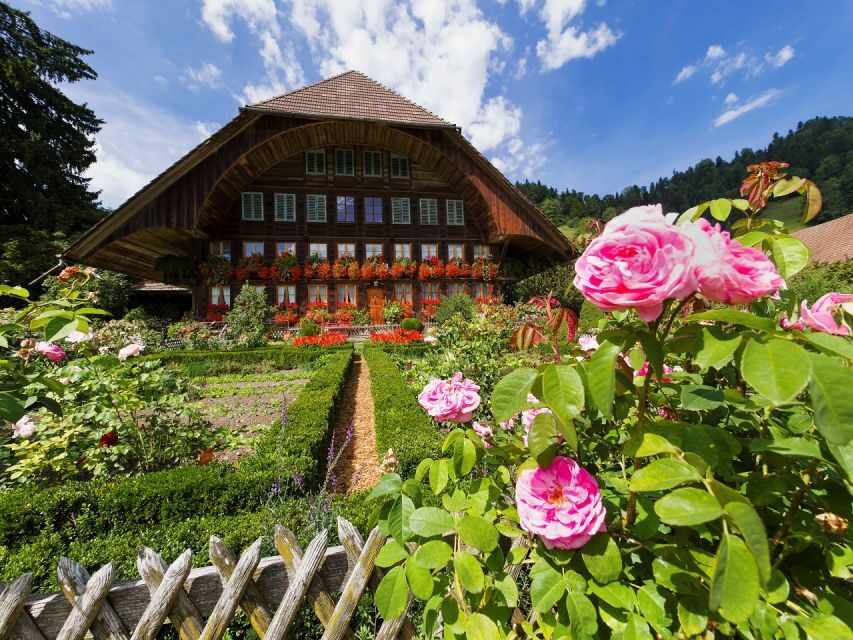 From Zurich/Lucerne: Berne Capital and Countryside Day-Trip - The Practicalities and Value