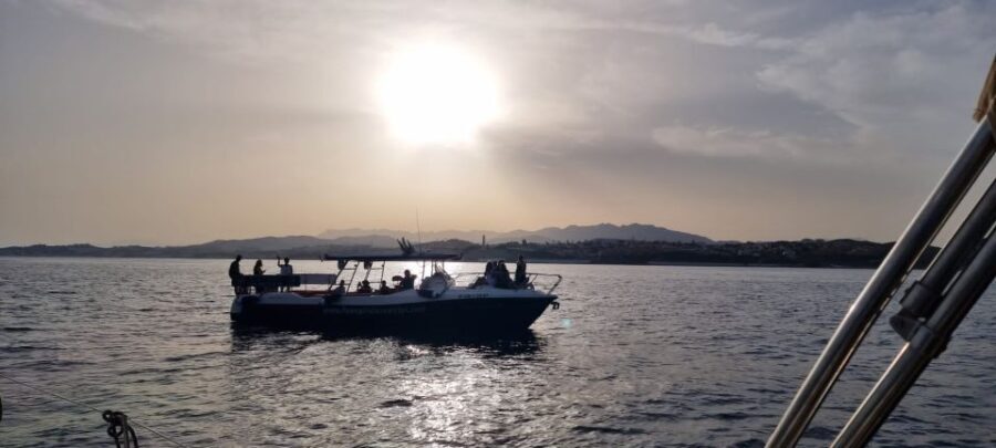 Fuengirola: Fantastic Dolphin Watching Yacht Tour with Drink