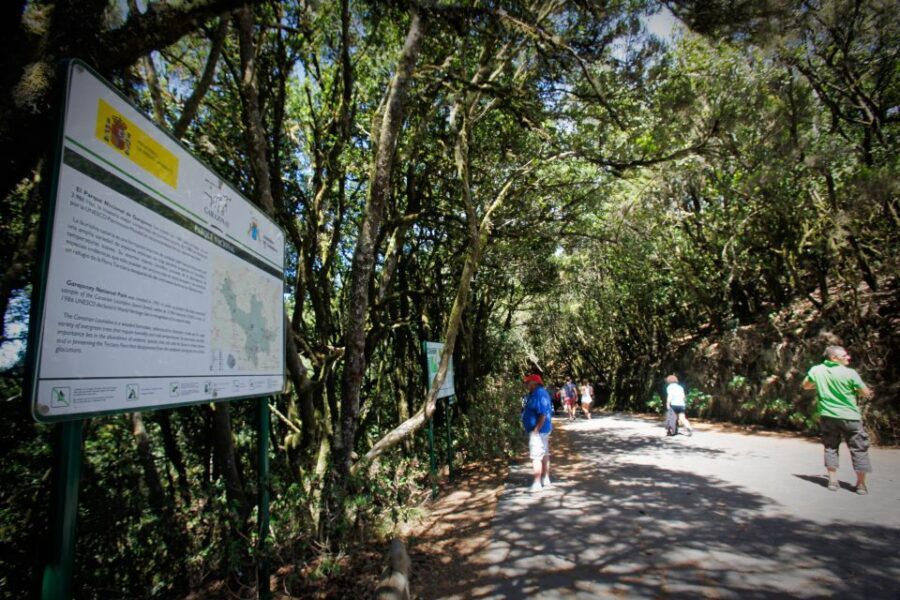 Full-Day Gomera Jeep Safari Excursion from Arona