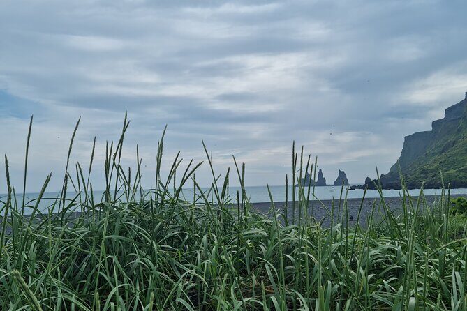 Full-Day Private South Coast Tour from Reykjavik port - Authentic Experiences and Practical Tips