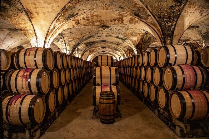 Full-Day Private Wine Tour in Côte de Beaune