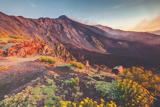 Full Day Sicily Tour from Malta. Visit Mt Etna and Syracuse - Key Points